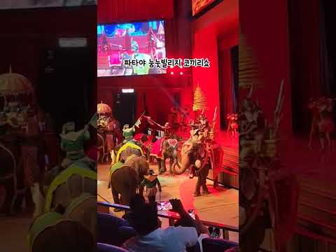 파타야 눙눗빌리지 코끼리쇼 #파타야 #파타야관광 #눙눗빌리지 #태국 #pattaya #파타야코끼리 #파타야맛집 #비어바 ...